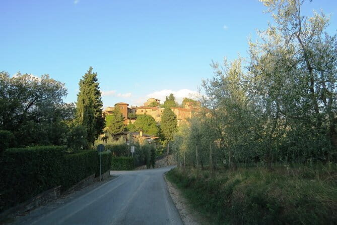Chianti Hills: AppGuided eVespa Tour + Lunch in Greve - What’s Included & What’s Not