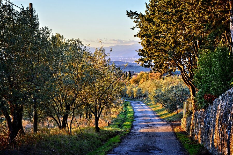 Country road through the Chianti countryside lined with cypress trees