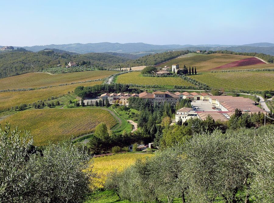 Vineyard at La Madonna winery in Gaiole in Chianti