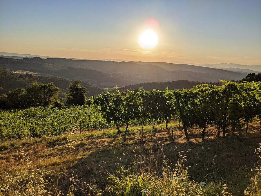 Sunset over the Chianti hills with vineyards