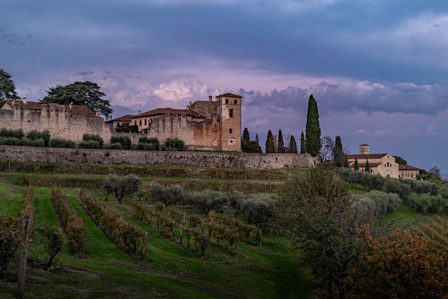 Medieval castle and vineyard in Tuscany at sunset