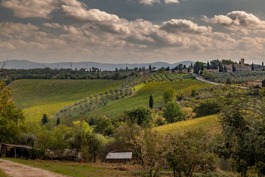 Rolling Tuscan hills with vineyards and a small hill village