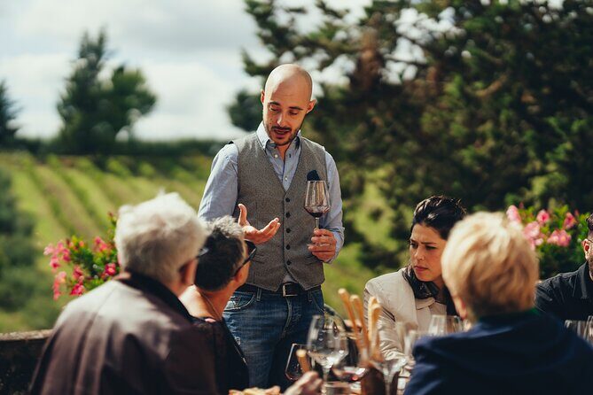 Chianti Wine Tour for Small Groups: Family Wineries & Lunch - Value for Money and Overall Experience