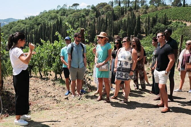 Chianti Wine Tour: Two Wine Tastings, Vineyards and Cellar Visit - The Itinerary in Detail