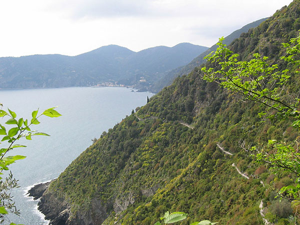 Hiking trail in Cinque Terre Italy