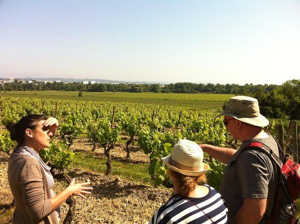 Cité de Carcassonne and Wine Tasting Private Day Tour from Toulouse - Transport, Timing, and Overall Value