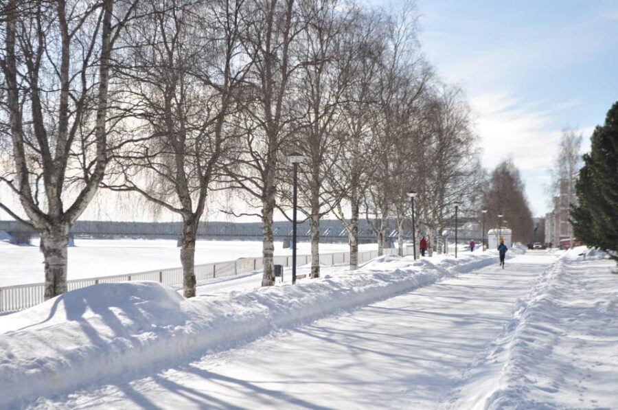 City tour and Santa Claus village visit in Lapland - An Honest Look at the Rovaniemi City Tour and Santa Claus Village Visit