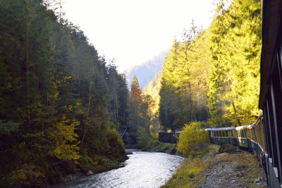 CJ03 - Day trip to Maramures Mocanita Train from Cluj Napoca - A Deep Dive into the Experience