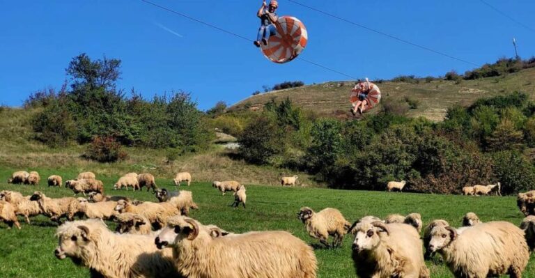 Cluj: Outdoor Activities Day Trip with Zip Line and Hike - Practical Details and Tips