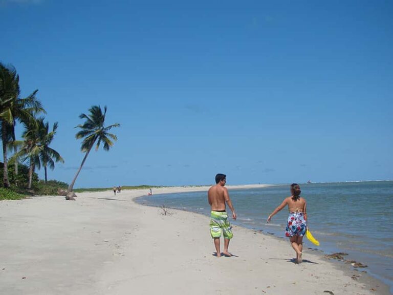 Colonial North Coast beaches - Full-Day Tour - Authentic Experiences and Real Insights from Reviews