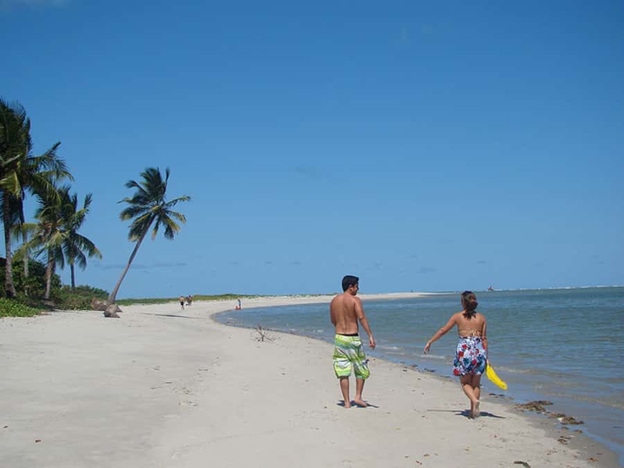 Colonial North Coast beaches - Full-Day Tour - Authentic Experiences and Real Insights from Reviews
