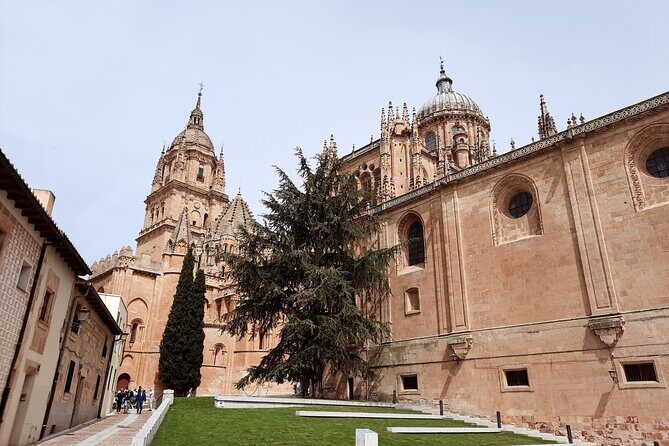 Complete Private Guided Tour of the City of Salamanca - Practical Aspects of the Tour