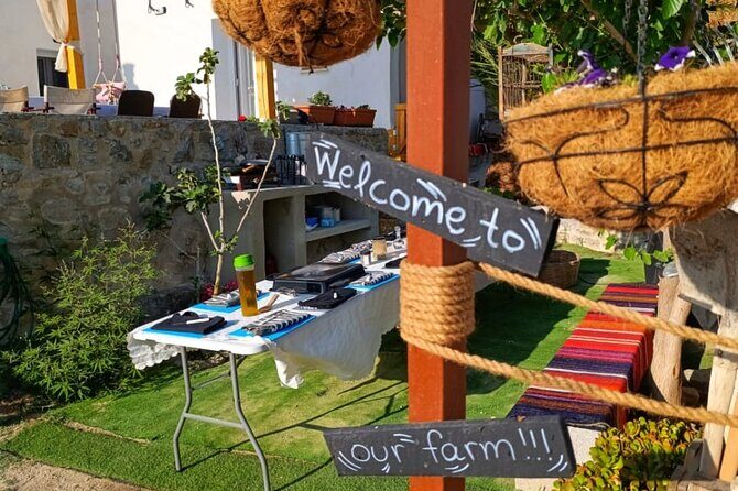 Cooking Class Sunset Dinner and Tour in Paros Farm - Who Will Love This Tour?