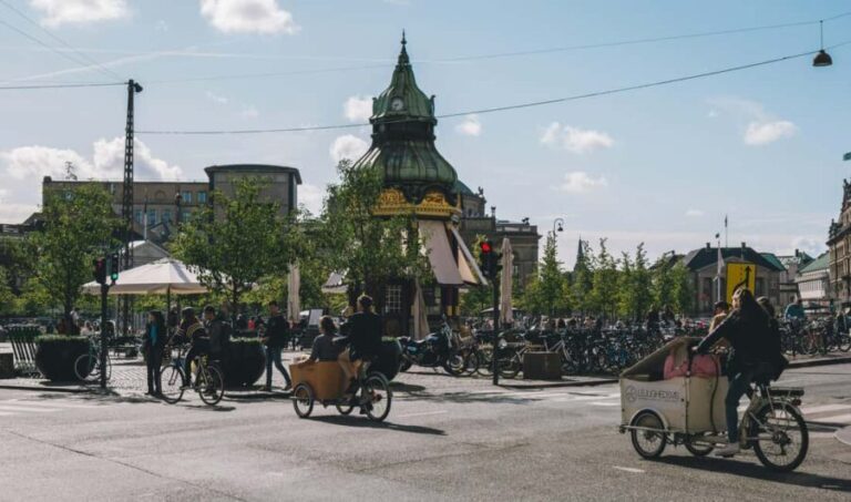 Copenhagen: Private Guided Walking Tour with Hotel Pickup - Practical Details and What You Should Know