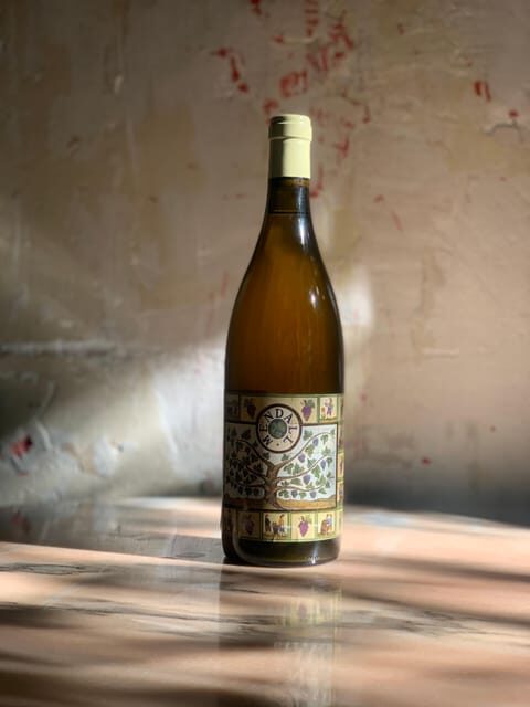 Córdoba: Discover the Soul of Spanish Natural Wine & Cuisine - The Practical Side