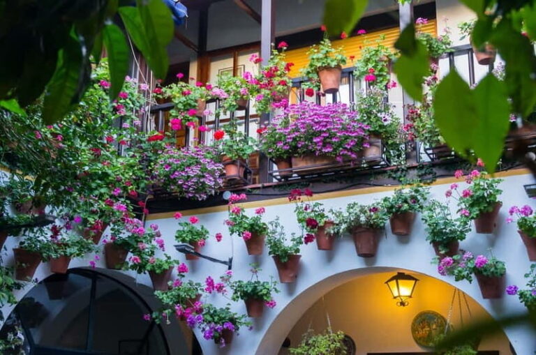 Córdoba: Guided tour in Spanish to the courtyards of Córdoba - Why This Tour Will Delight Certain Travelers