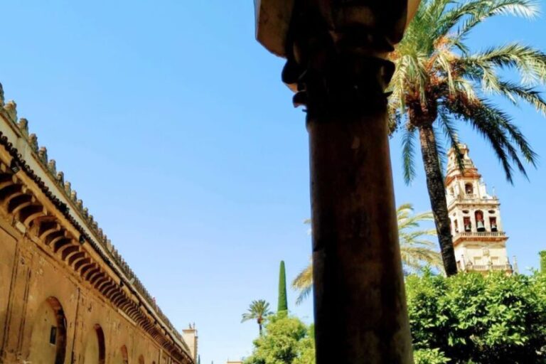 Cordoba Highlights Full-Day Tour from Granada - The Itinerary in Detail