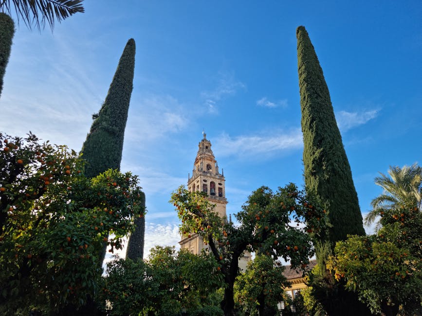 Mezquita bell tower framed by trees in Cordoba