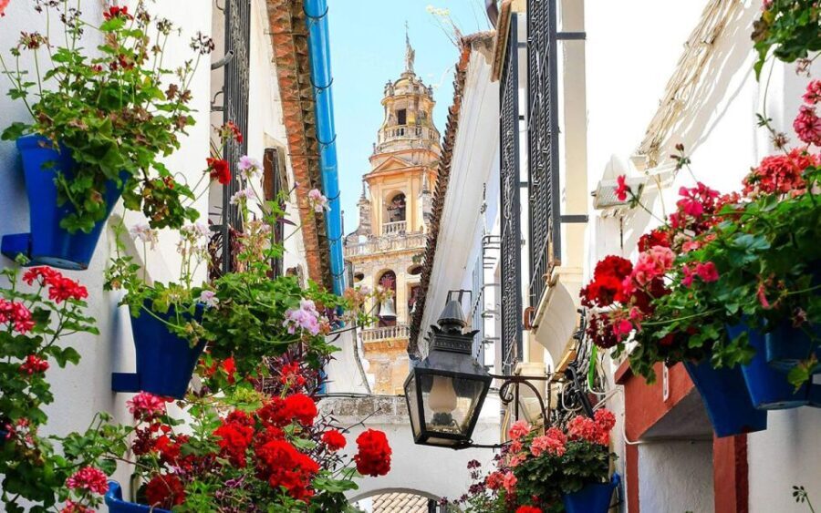 Córdoba: Mosque and Alcazar Private Tour with tickets - What to Expect During the Tour