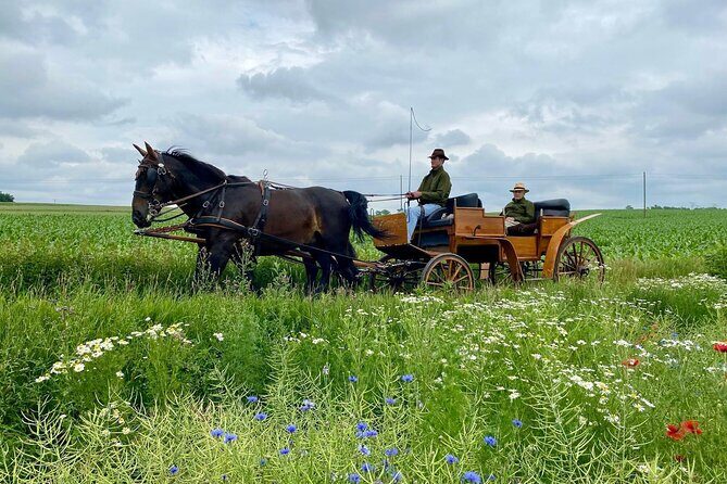 Country and Castle Tours by Carriage - The Carriage Ride: Village and Farmland Exploration