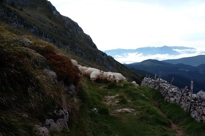 Countryside & Coast Private tour - Practical Aspects and Value