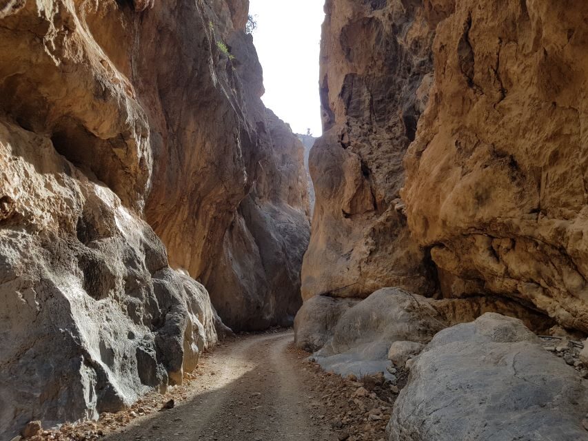 Crete: Tripitis Gorge South Crete Guided Jeep Safari - What Does the Tour Include?
