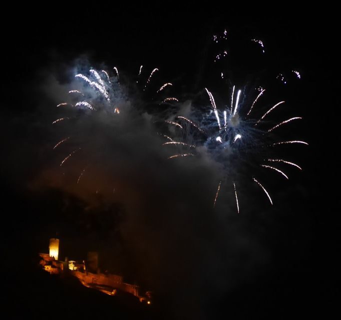 Cruise to the fireworks of Winninger vinefestival - Who Would Love This?