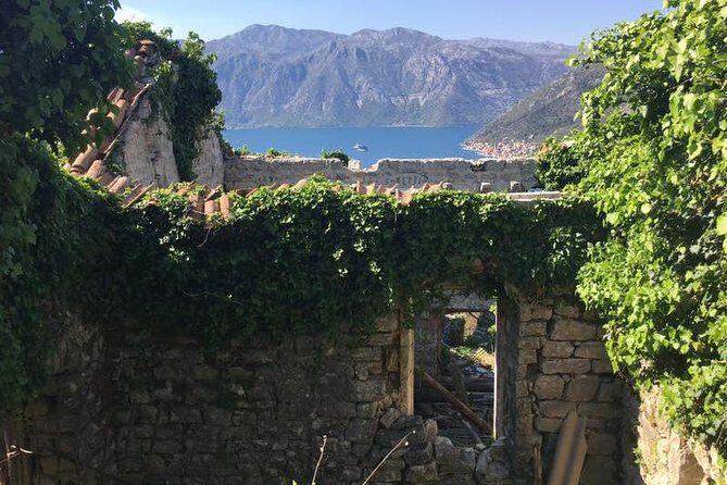 Cycling and hiking short tour through the bay of Kotor - What’s Included and What You Should Know