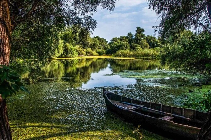 Danube Delta -Small group Tour- Boat Trip & Traditional Lunch - Price and Value Analysis