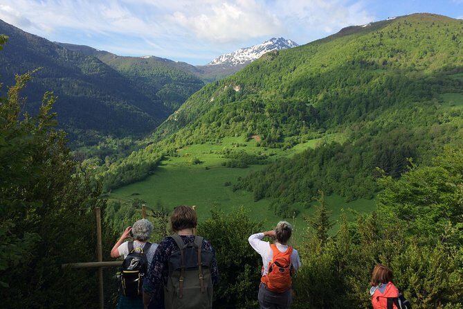 Day Tour to Mirepoix, Montségur, Camon. Private tour from Carcassonne - How Does the Tour Deliver Value?