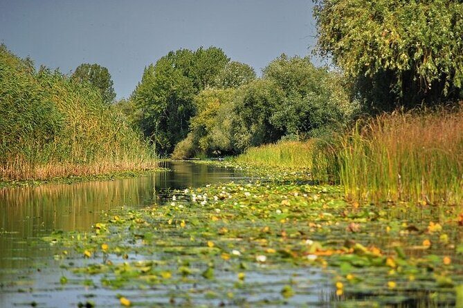 Day Trip from Bucharest to Danube Delta - Authentic Reviews & Tips
