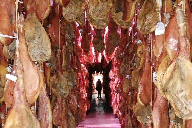 Day trip in Trevélez and a visit to ham drying factory - What the Tour Includes and What You Should Know