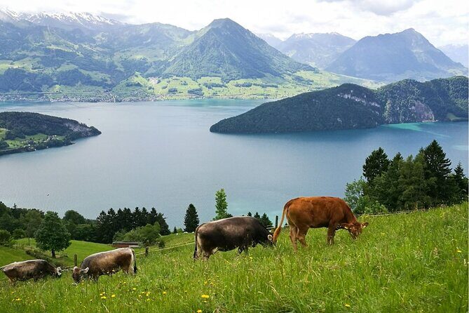 Day Trip to Lucerne and Mt. Rigi with a local from Zurich - The Itinerary: Breaking Down the Day
