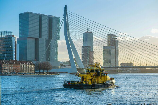 Daytrip Tour from Amsterdam to Rotterdam to The Hague and Delft - The Value of the Experience
