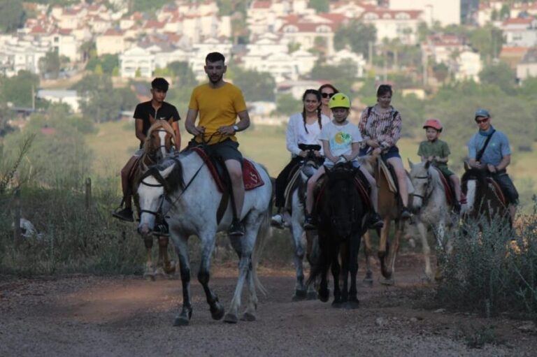 Didim Horse Safari - Evaluating the Value of the Didim Horse Safari