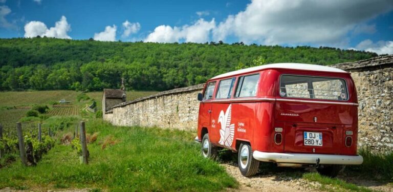 Dijon: Burgundy Small-group Vintage Van Tour - What Reviewers Love Most