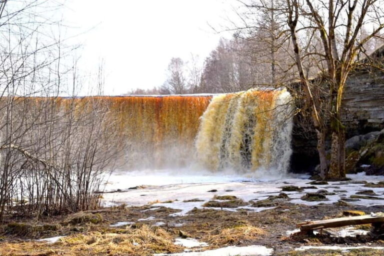 Discover Estonia - car tour from Tallinn to Jägala Waterfall - What You Can Expect During the Tour