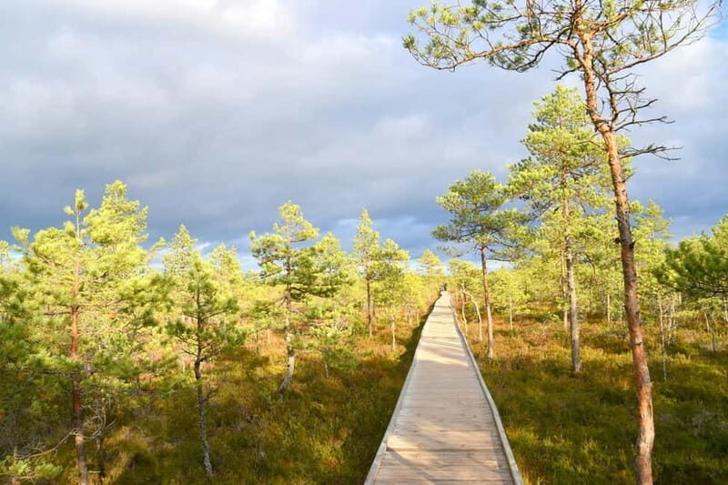 Discover Estoniatour to Lahemaa with waterfalls and nature. - Final Thoughts