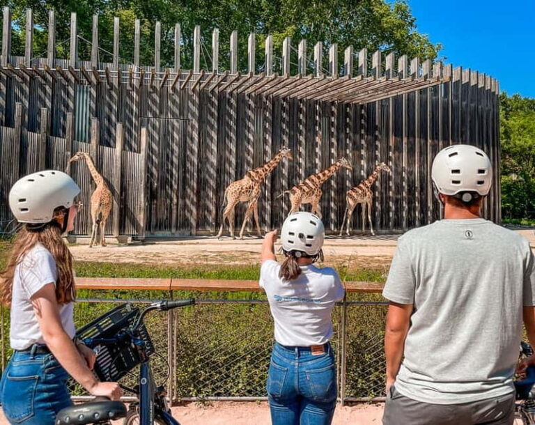Discover Lyon's iconic Tête d'Or park by bike - Who Is This Tour Best For?