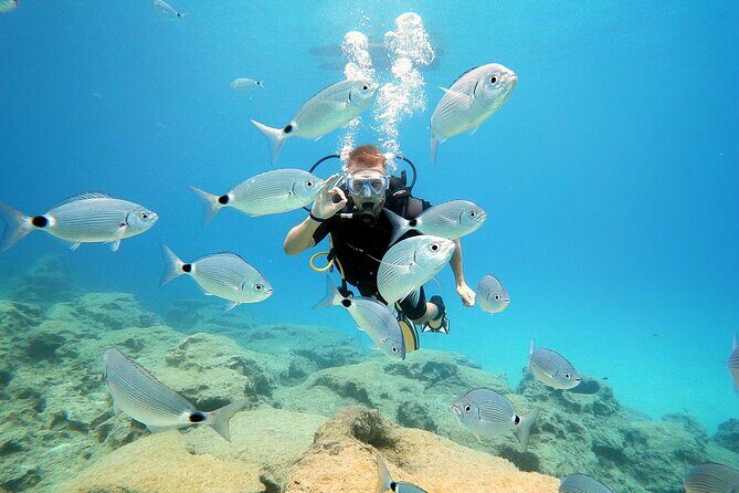 Discover Scuba Diving for Beginners - What Could Be Better?