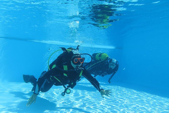 Discover Scuba Diving or Try dive - An In-Depth Look at the Discover Scuba Diving Tour
