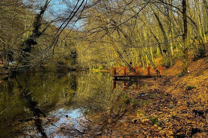 Discover Secret Lakes by Private Hiking Tour (w/Lunch, Transfers) - Why It’s a Great Choice for Your Istanbul Getaway