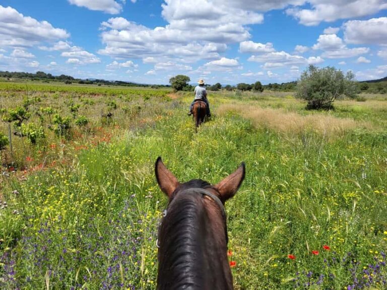 Discover the interior of Valencia on horseback - The Picnic and Local Flavors