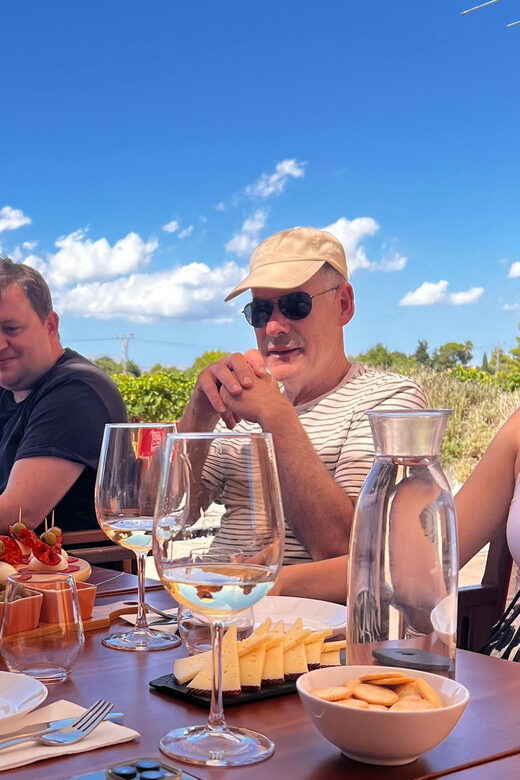 Discover the treasures of the Mallorca wine on a top winery - Who Will Love This Experience?