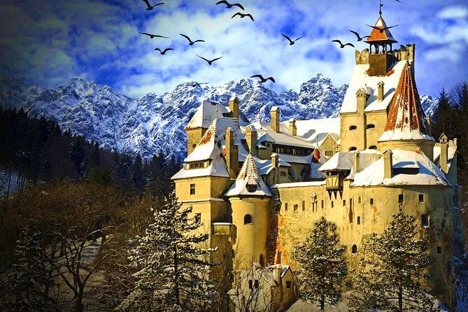 Discover Transylvania: Dracula, Peles Castle, Brasov Private Tour - Authentic Insights from Travelers