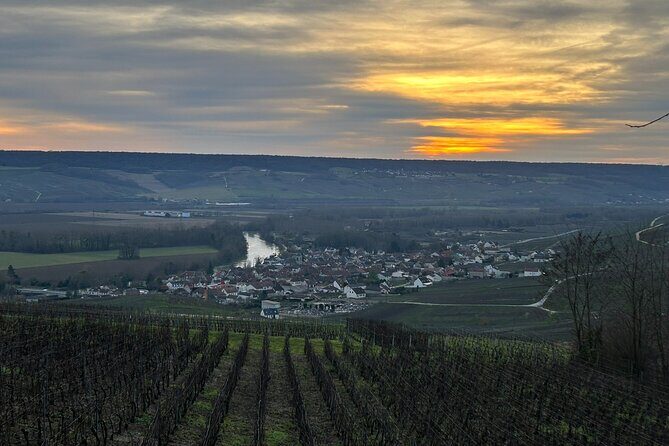 Discovery Tour Reims and Epernay - Practical Details and Tips