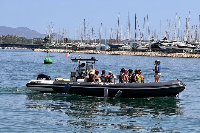 Dolphin Expedition Shared Speedboat tour with Biologist guide - Final Thoughts: Why Choose This Tour?