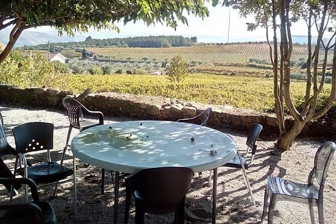 Douro Valley: A Half-Day, 1 winery, tatings & 1-h Boat tour - What the Reviews Say