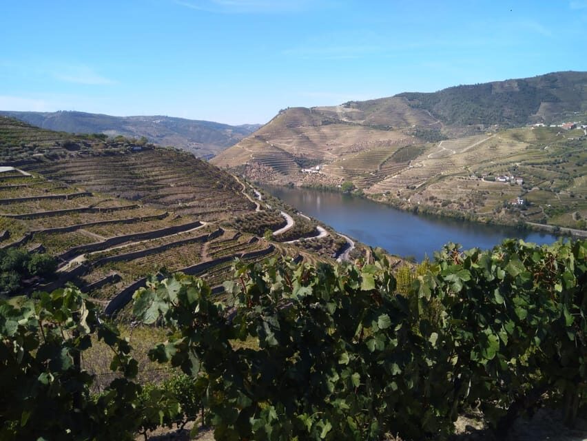 Douro Valley & Amarante - from Porto, Braga or Guimarães - Pricing and Value