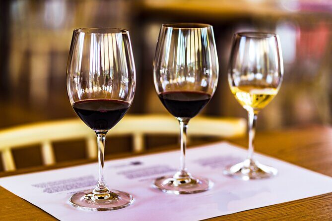 Douro Valley: Historical Sites, Wine Experience, Lunch & Cruise - Practical Considerations and Tips